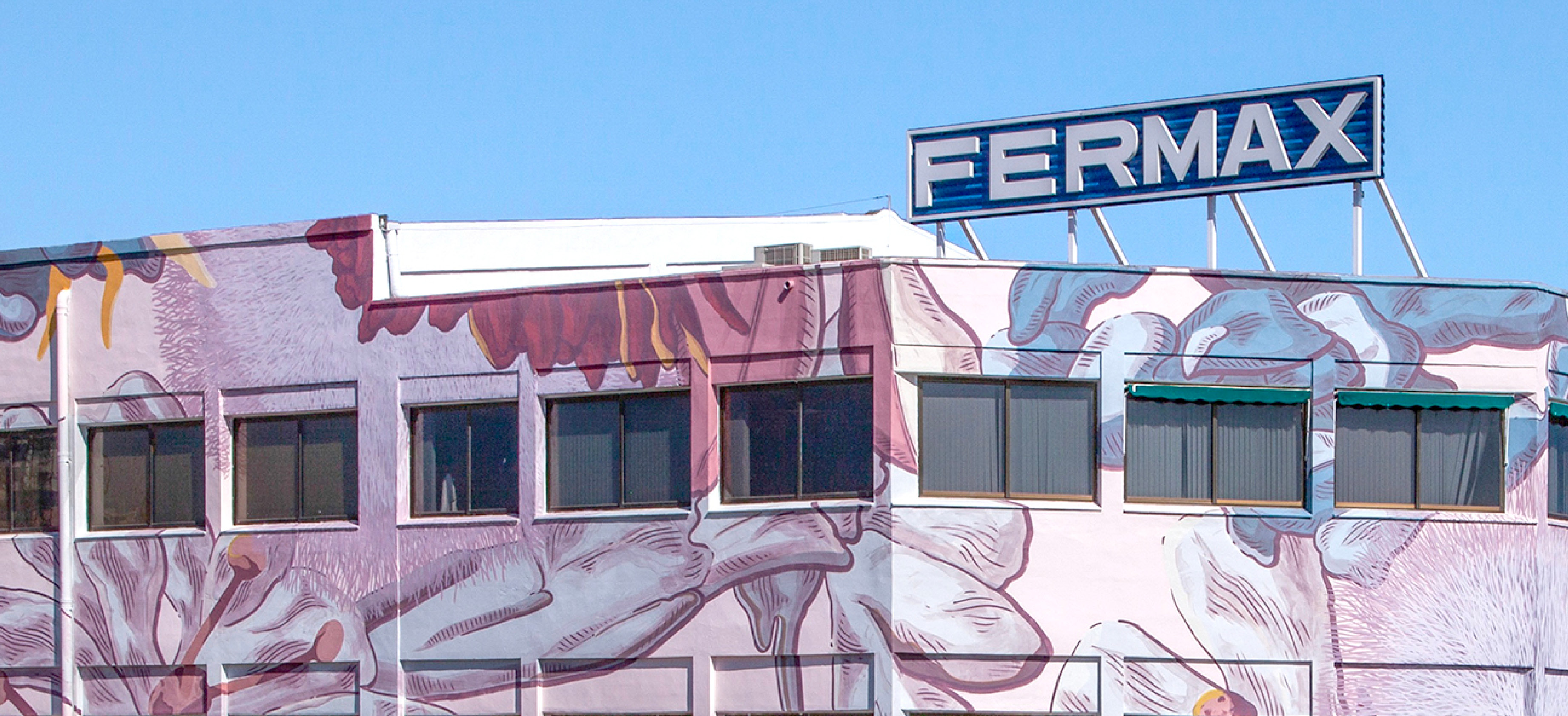 Fermax Professional | FERMAX